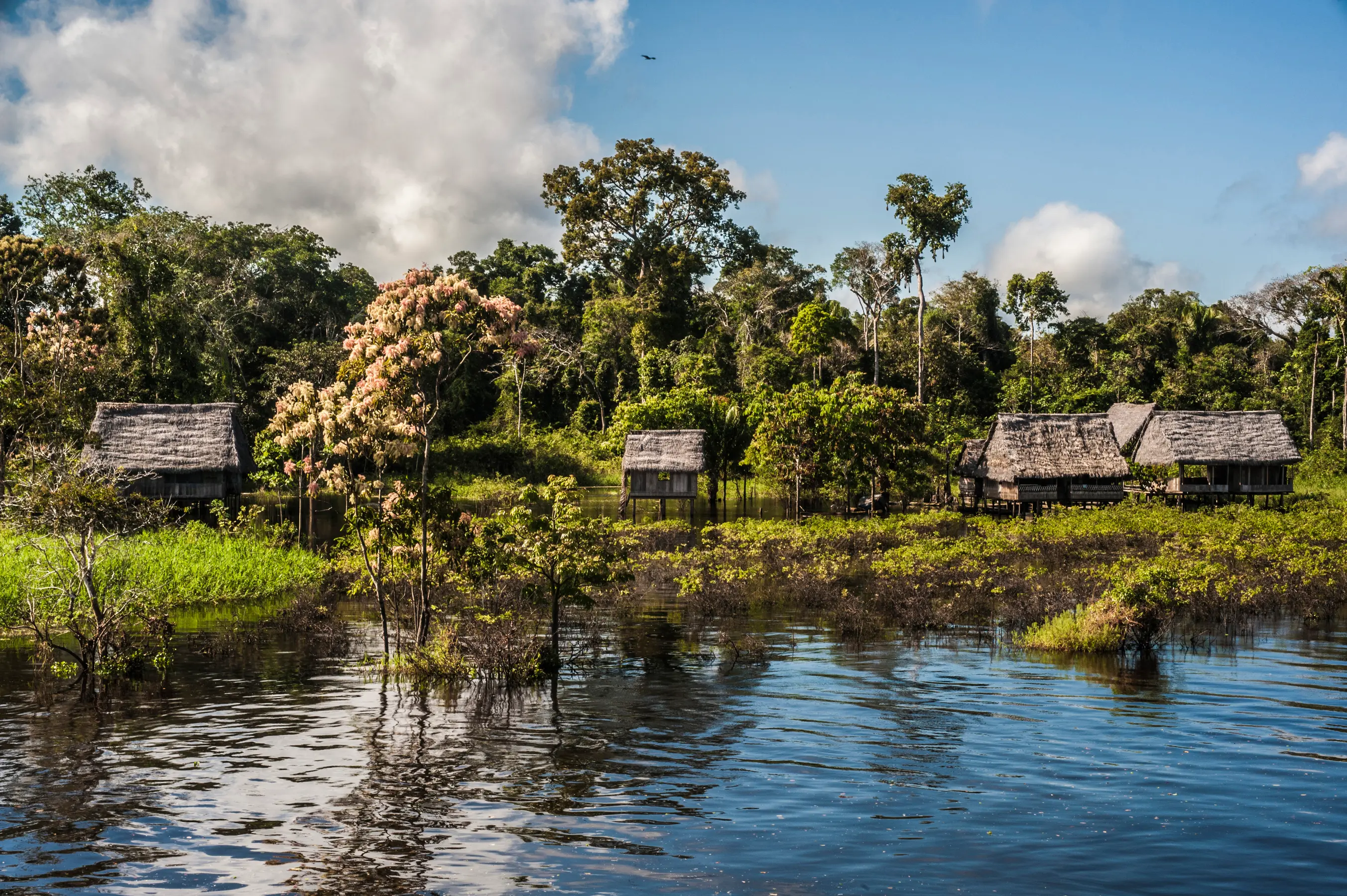 Amazon Private Charter | Luxury River Cruises | Aqua Expeditions