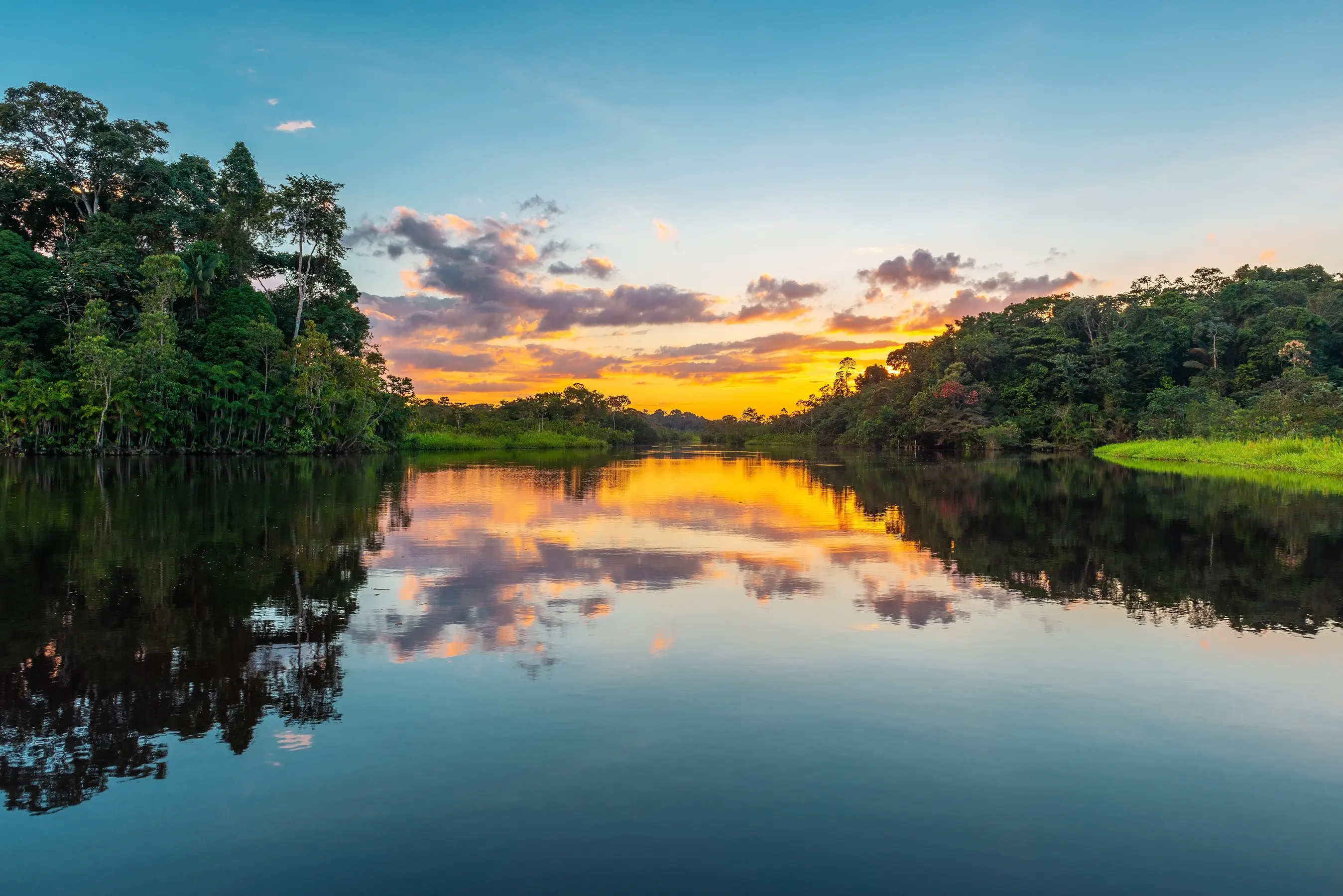 Amazon River Cruises | Luxury Cruise Travel & Wildlife Tour