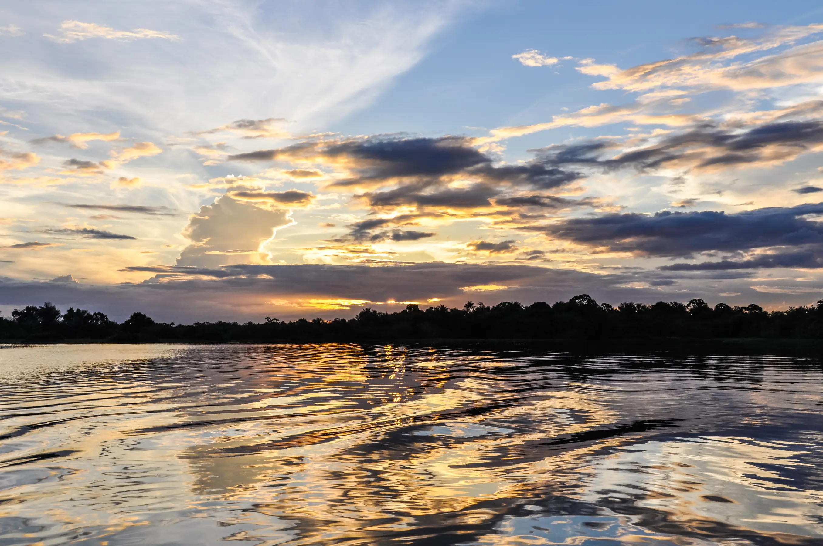 Amazon Private Charter | Luxury River Cruises | Aqua Expeditions