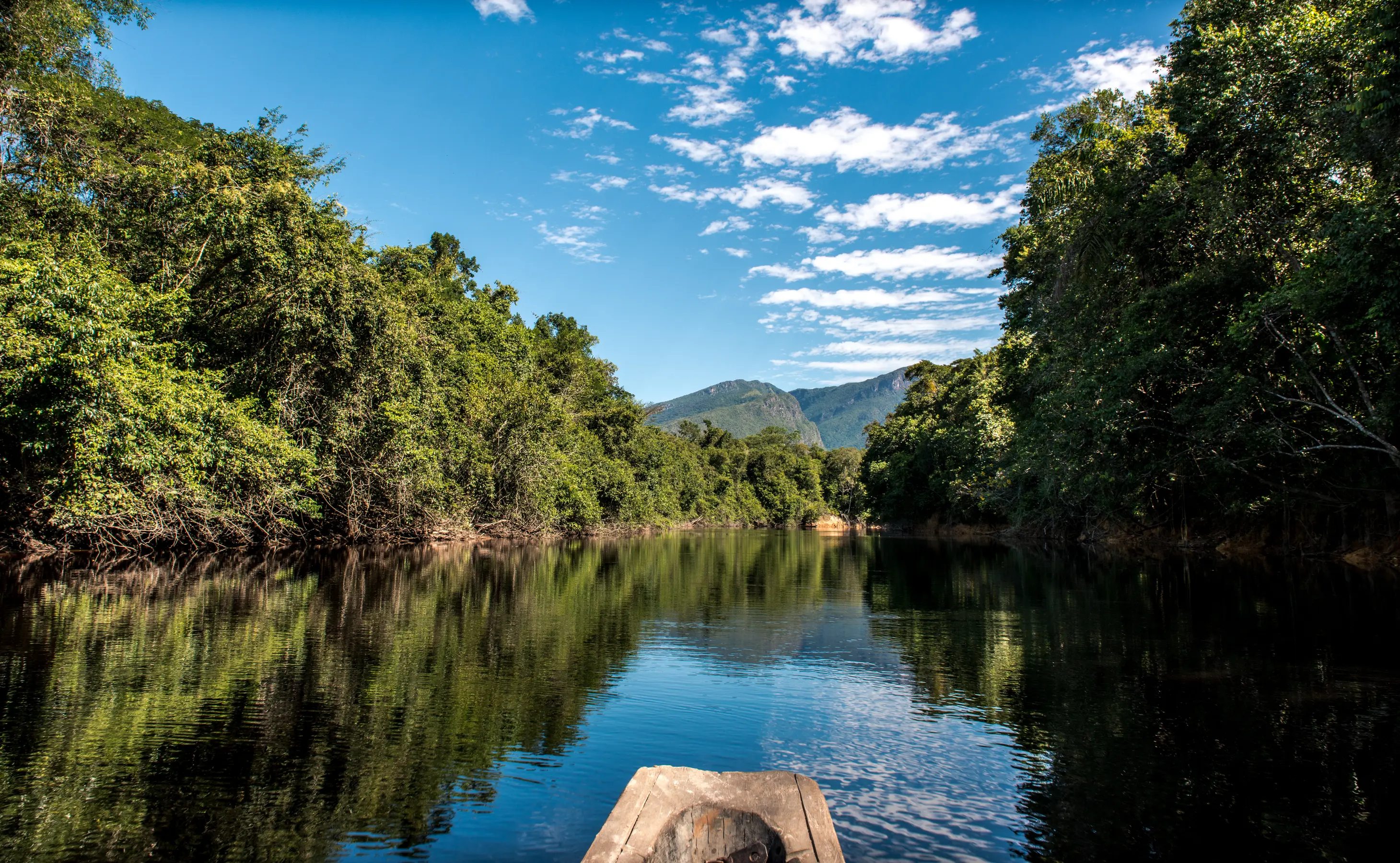 Amazon River Cruises | Luxury Cruise Travel & Wildlife Tour