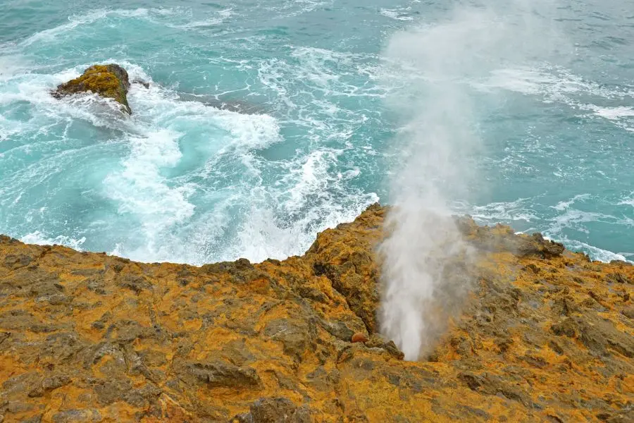 Espanola Island | Aqua Expeditions