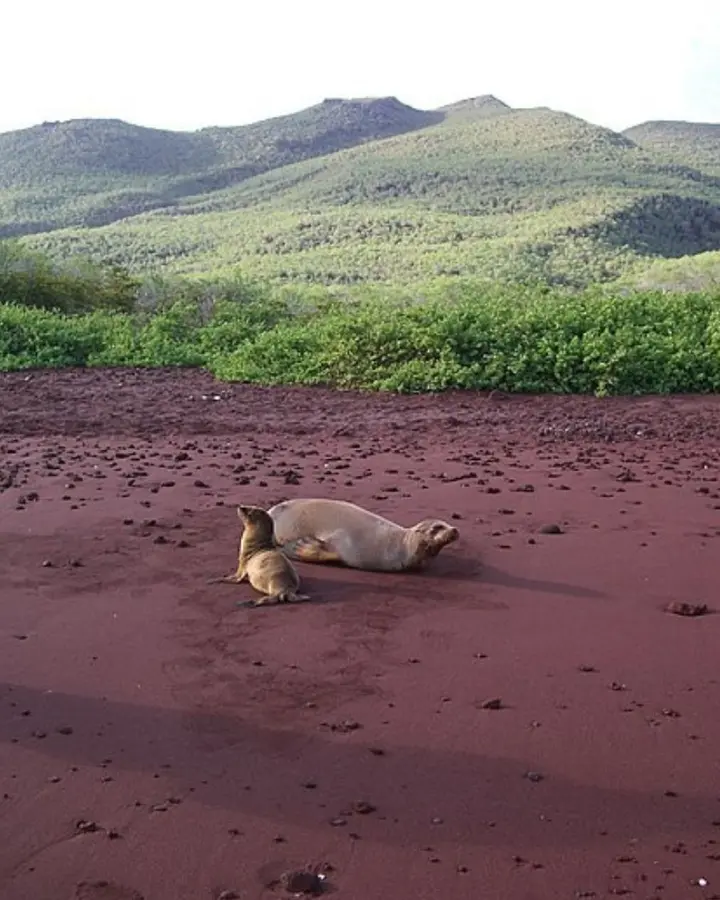 Rabida Island | Aqua Expeditions