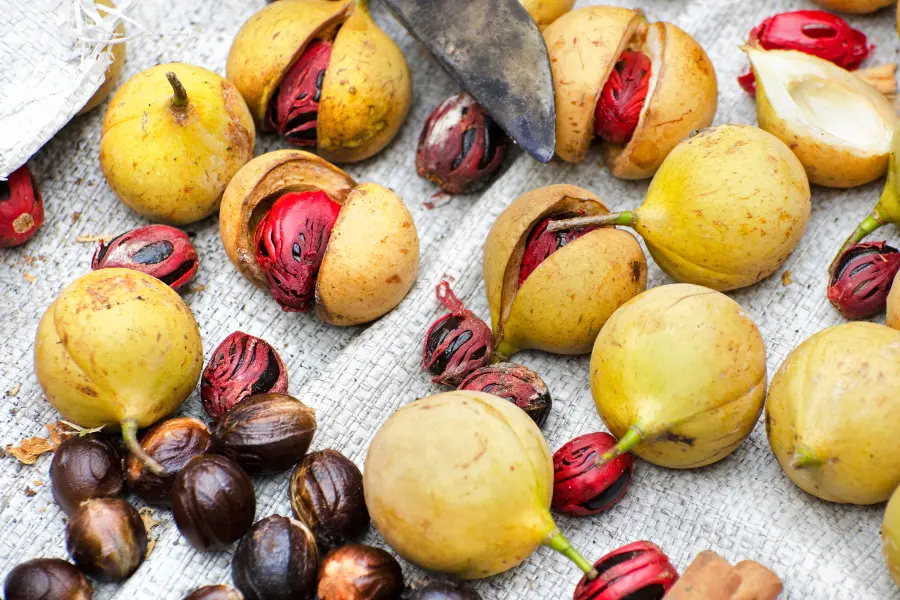 Discover the Best Spices from the Spice Islands | Aqua Expeditions