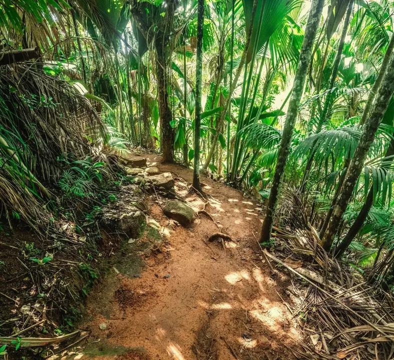 Pirates & Mermaids: Some of the Seychelles’ Many Legends | Aqua Expeditions