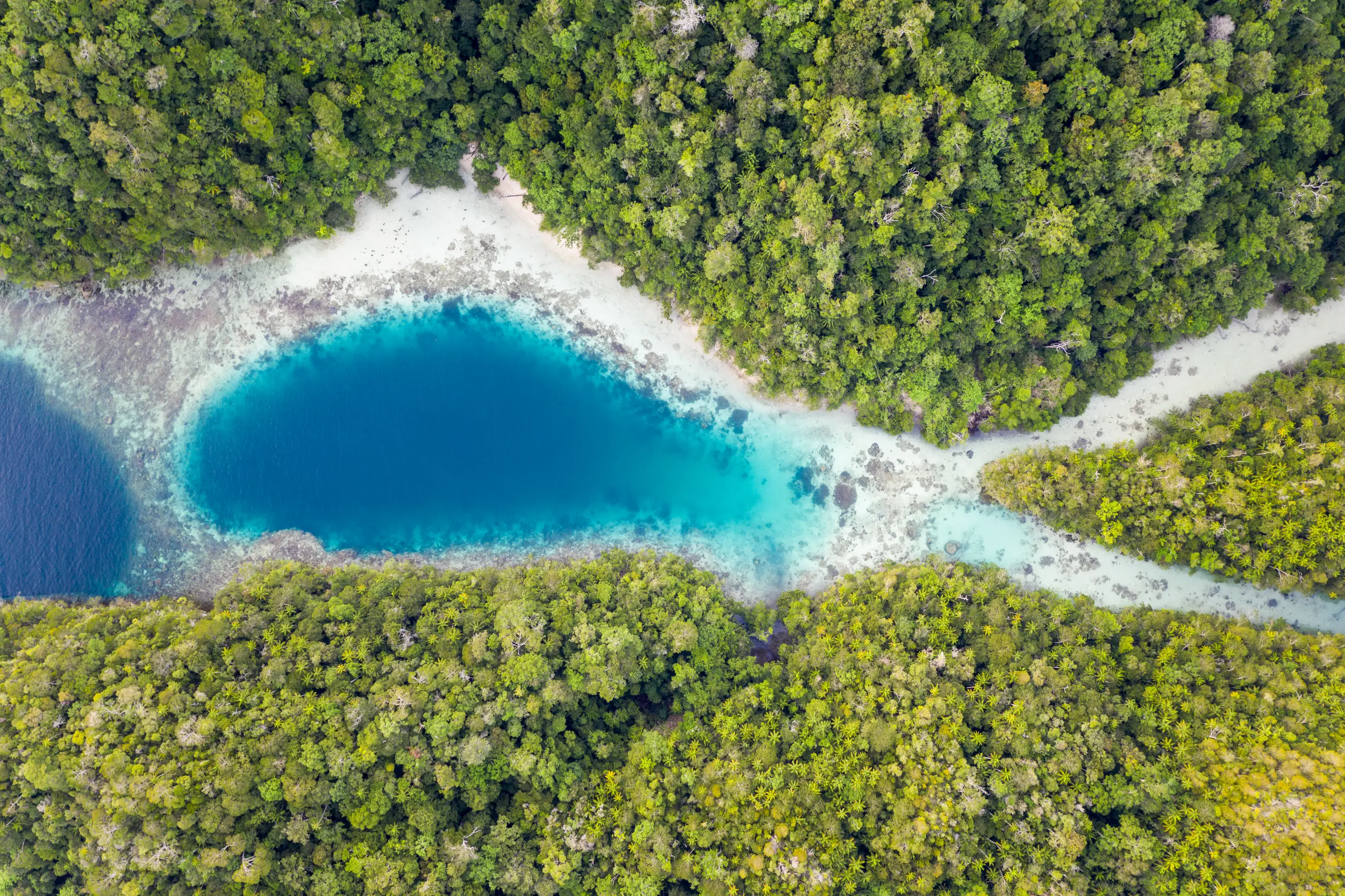 Swimming with Jellyfish in Misool’s Hidden Lakes | Aqua Expeditions