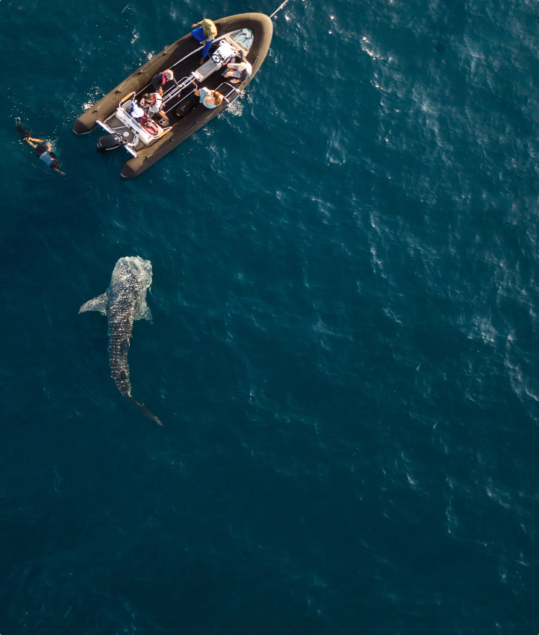 Luxury Cruises: Amazon, Mekong River Cruises | Aqua Expeditions