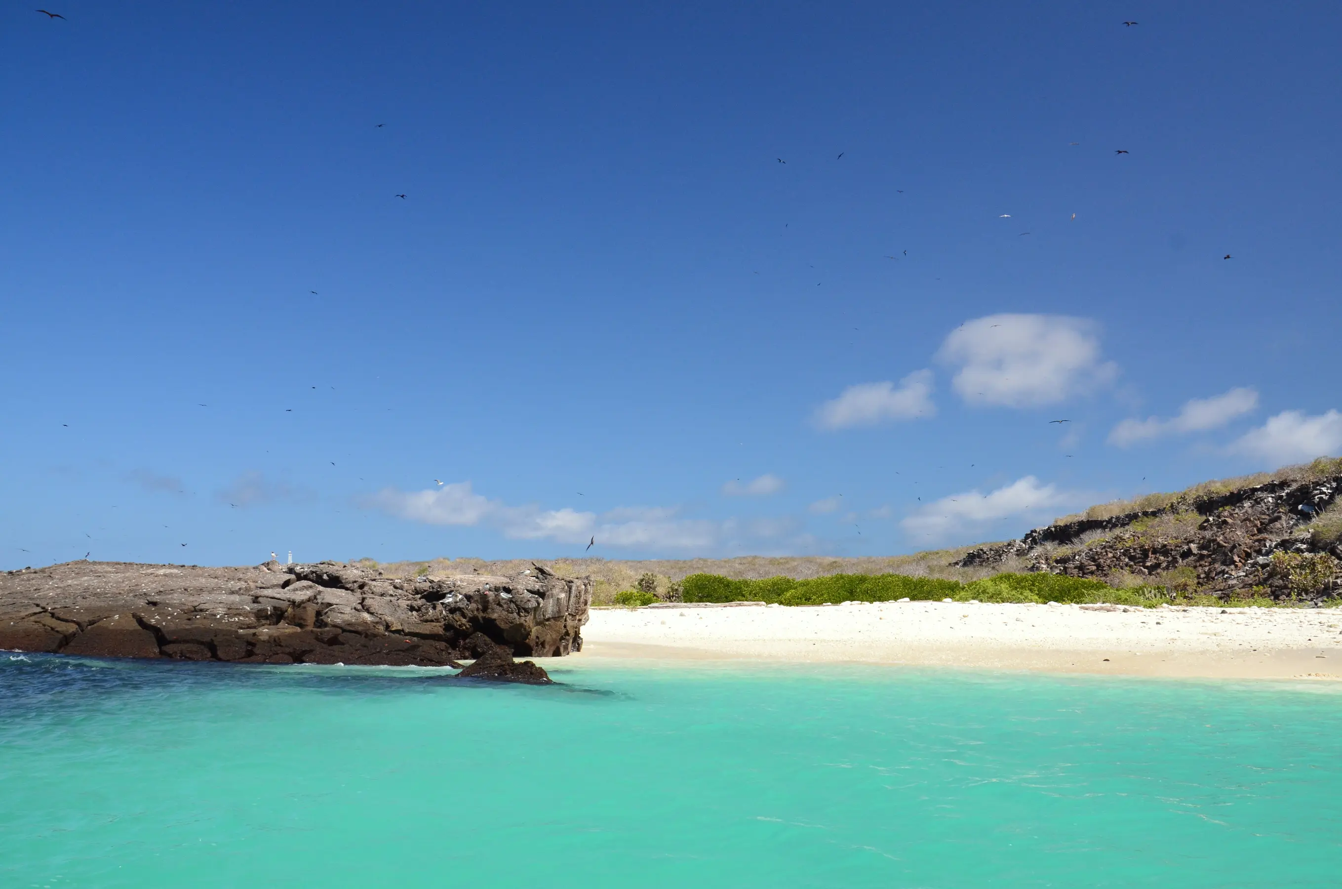 Genovesa Island | Aqua Expeditions
