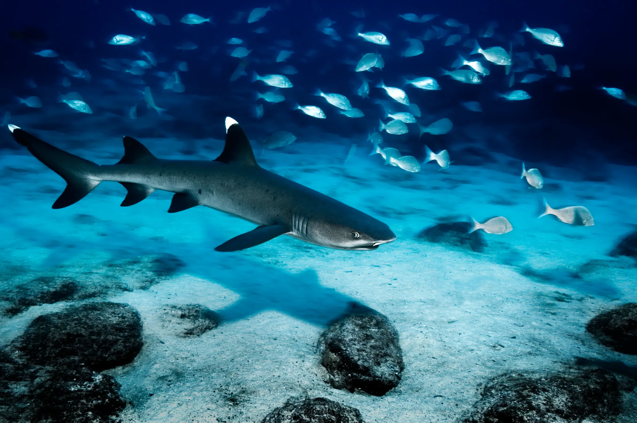 Bartolome Island | Aqua Expeditions