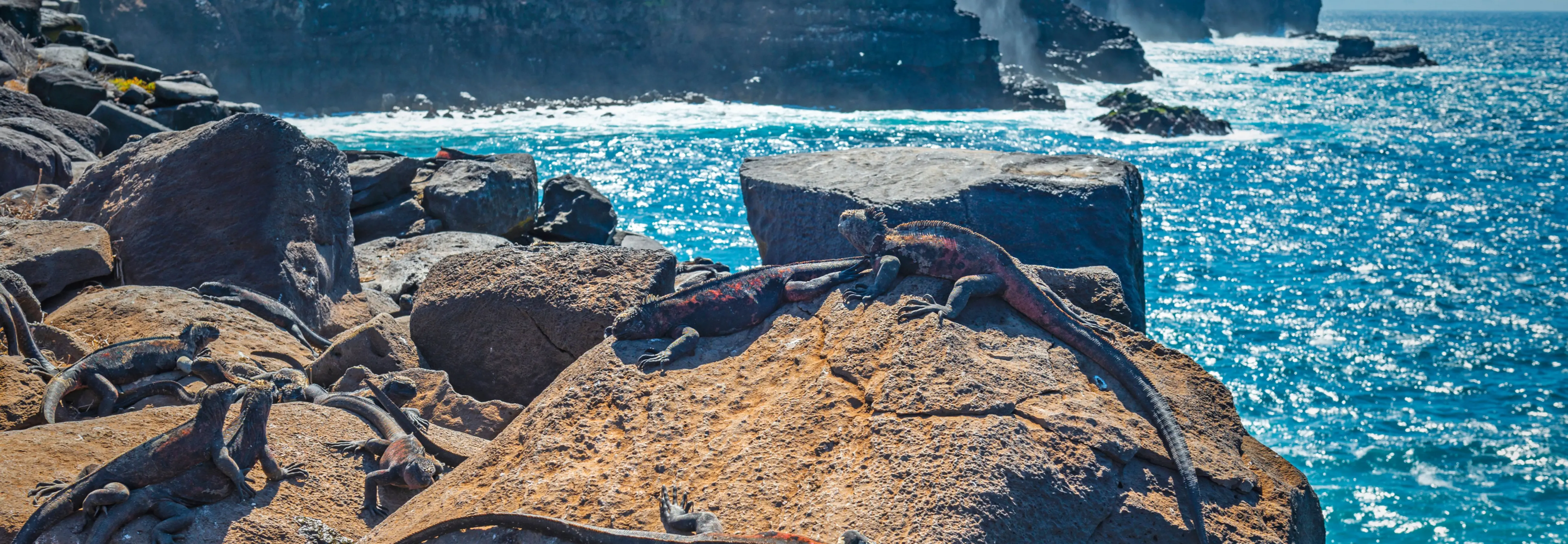 Espanola Island | Aqua Expeditions